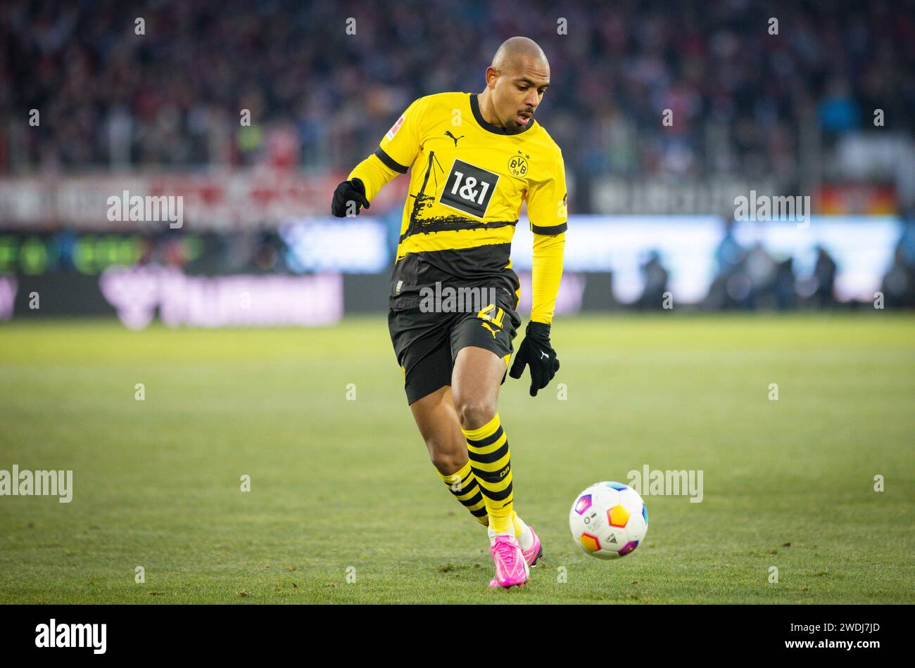 Cologne, Germany. 20th Jan 2024. Donyell Malen (BVB) 1. FC Köln - Borussia Dortmund 20.01.2024 ...
