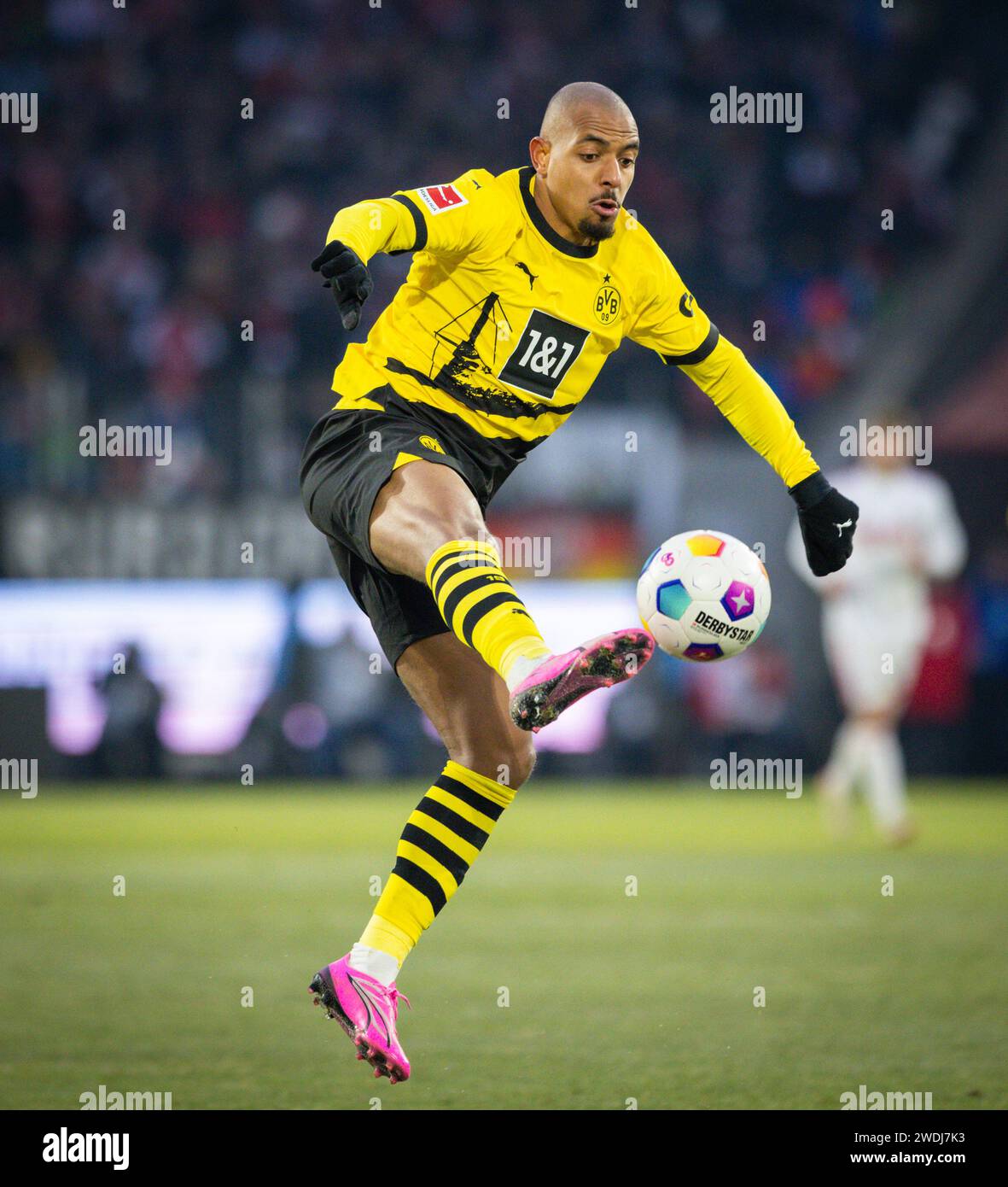 Cologne, Germany. 20th Jan 2024. Donyell Malen (BVB) 1. FC Köln - Borussia Dortmund 20.01.2024 ...