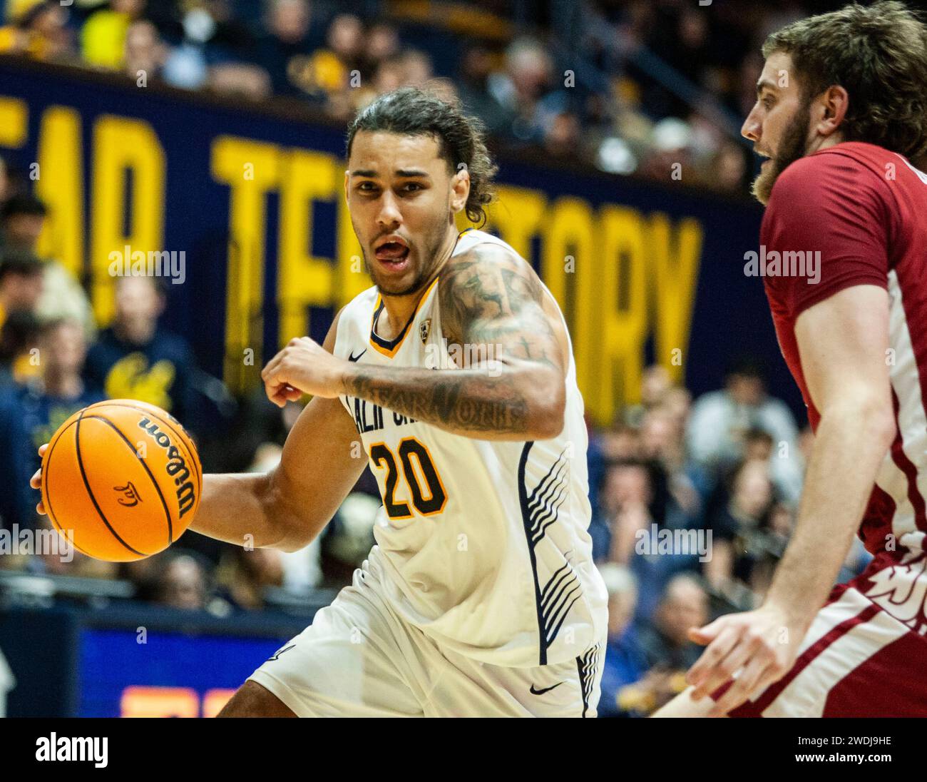 Berkeley, CA U.S. 20th Jan, 2024. A. California guard Jaylon Tyson (20 ...