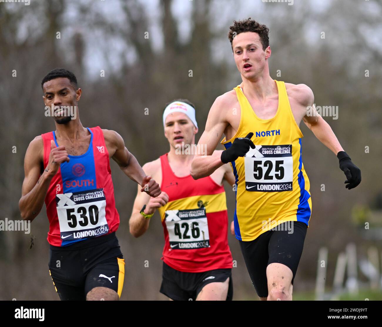 Tom evans 426 hi-res stock photography and images - Alamy