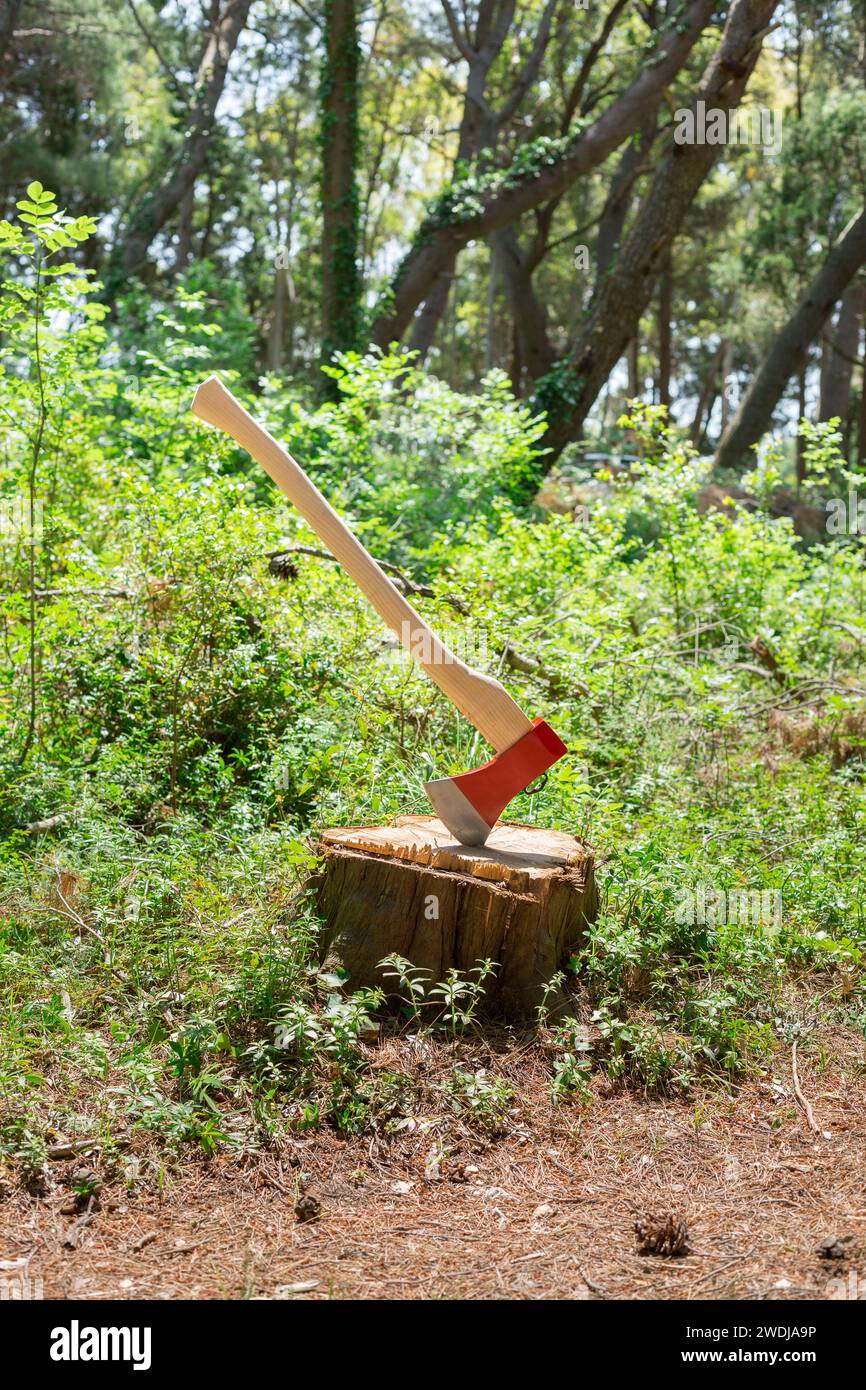red ax stuck in a tree stump Stock Photo - Alamy