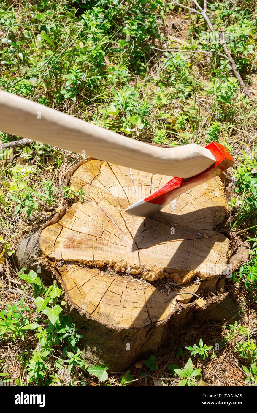 red ax stuck in a tree stump Stock Photo - Alamy
