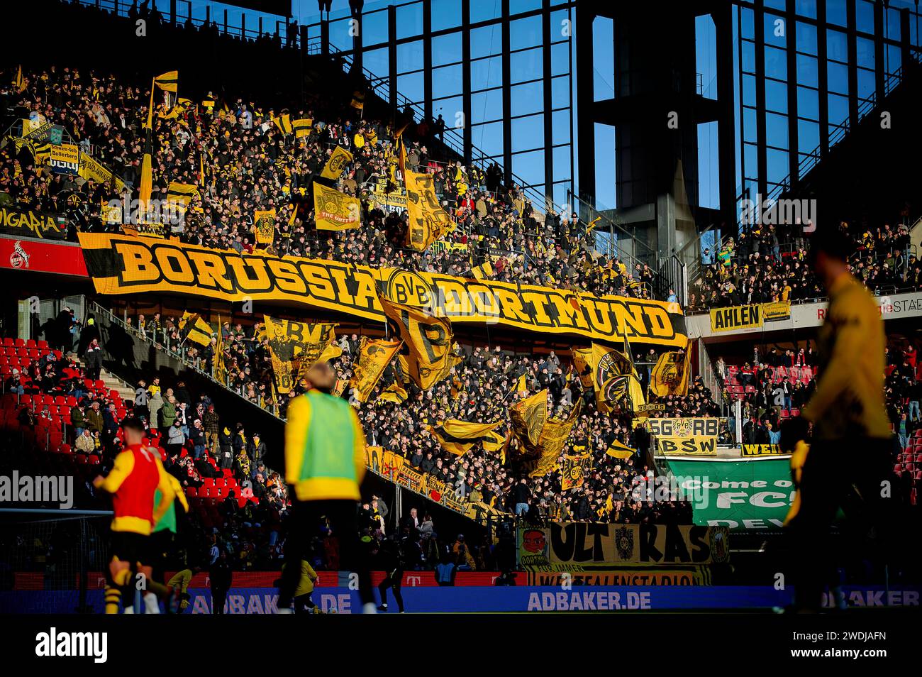 COLOGNE, GERMANY - 20 JANUARY, 2024: Fans of Borussia. The football ...