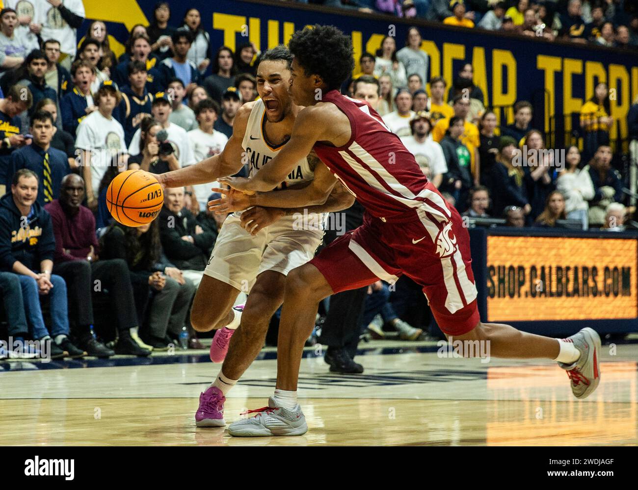 Berkeley, CA U.S. 20th Jan, 2024. A. California guard Jaylon Tyson (20 ...