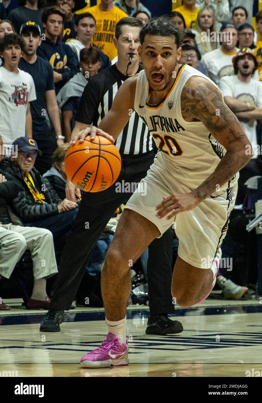 Berkeley, CA U.S. 20th Jan, 2024. A. California guard Jaylon Tyson (20 ...
