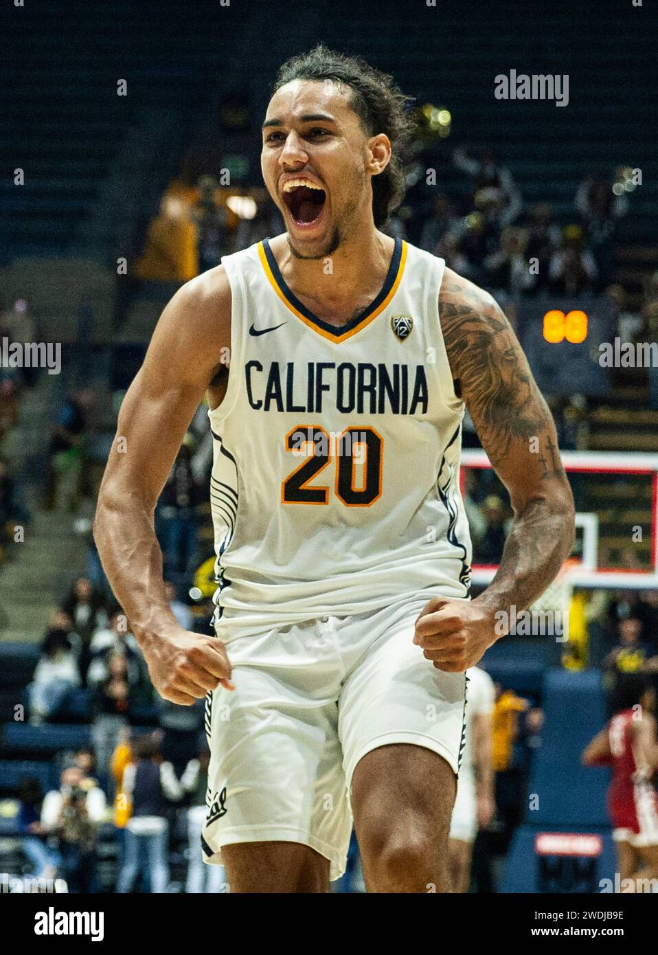 2024 1336 jpg hi-res stock photography and images - Alamy