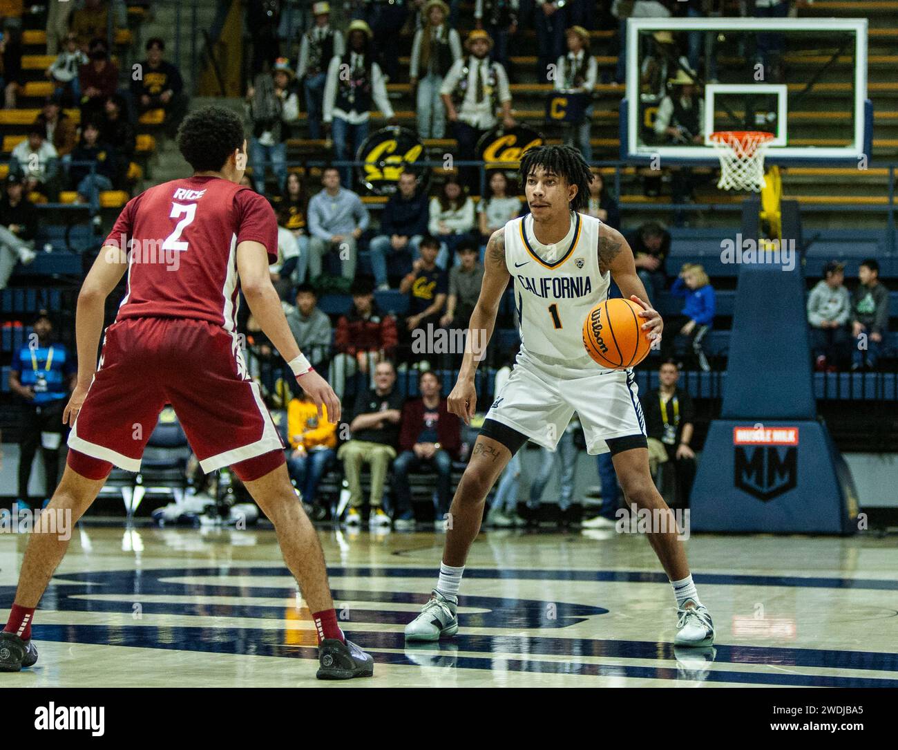 2024 0990 jpg hi-res stock photography and images - Alamy