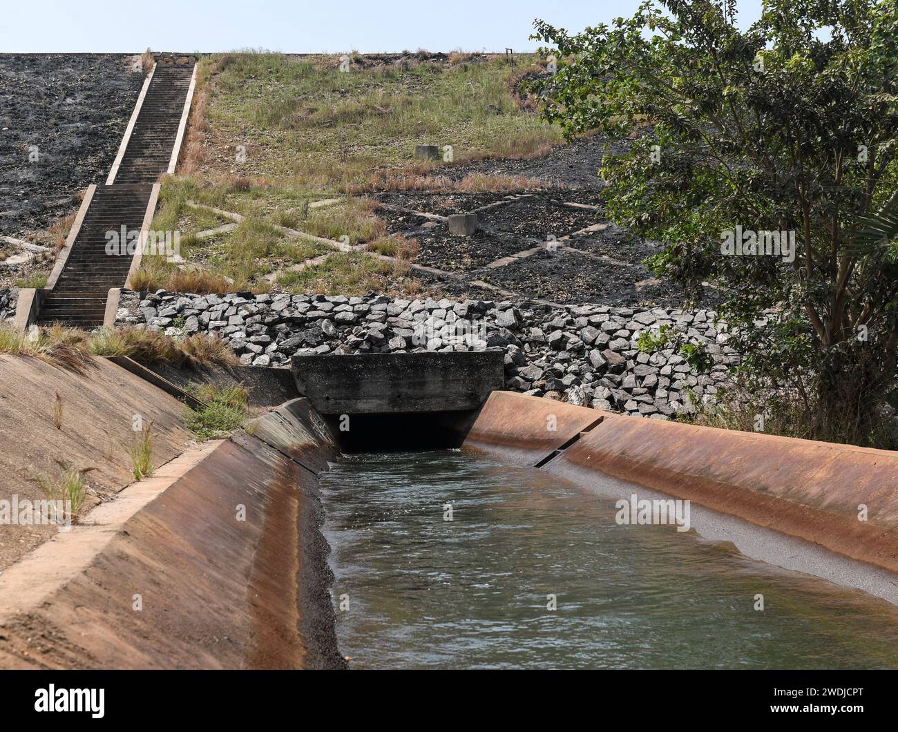Crop over 2024 hi-res stock photography and images - Alamy