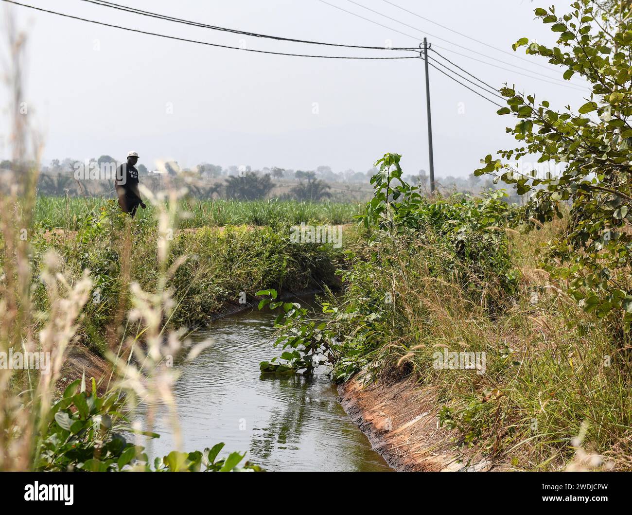 Anie. 14th Jan, 2024. This photo taken on Jan. 14, 2024 shows a view ...