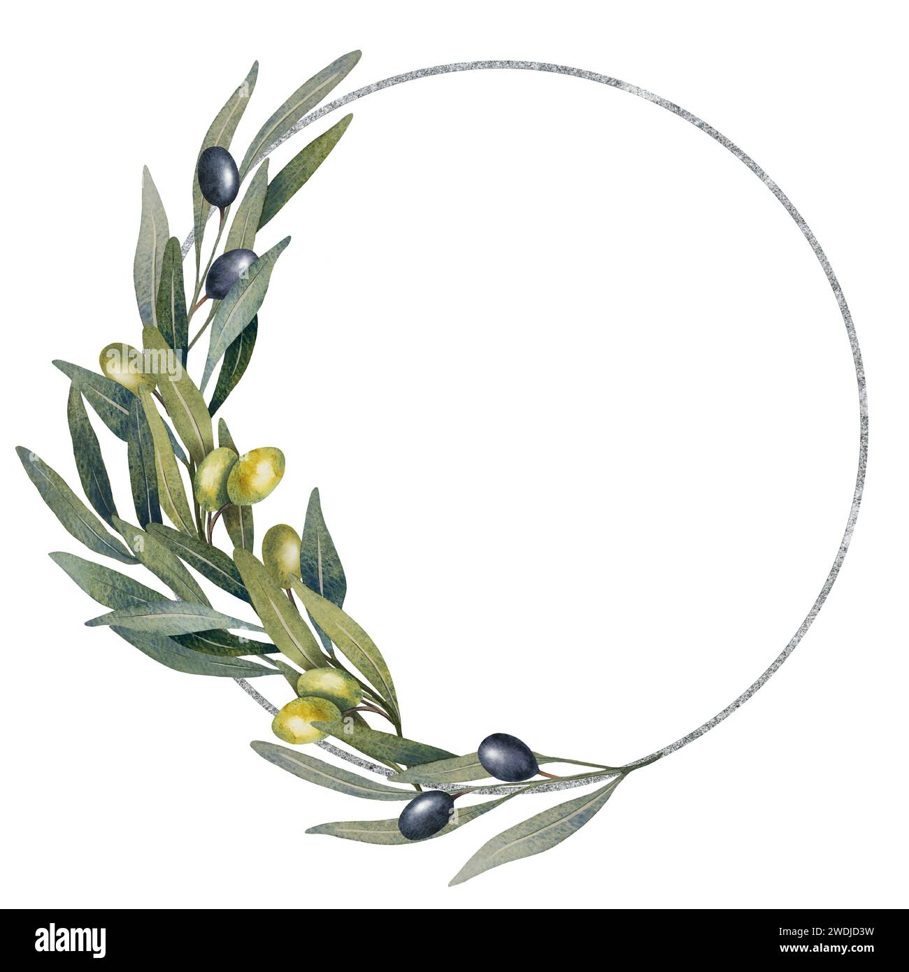 round wreath with olive branch and silver outline. watercolor olive ...