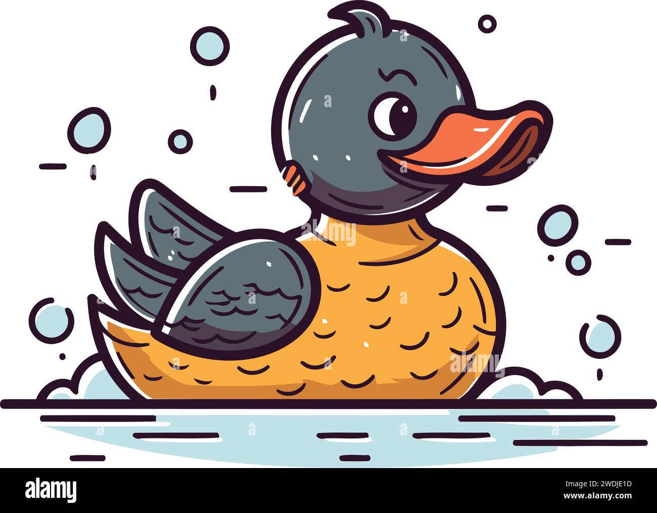 Mallard duck bird swimming Stock Vector Images - Alamy
