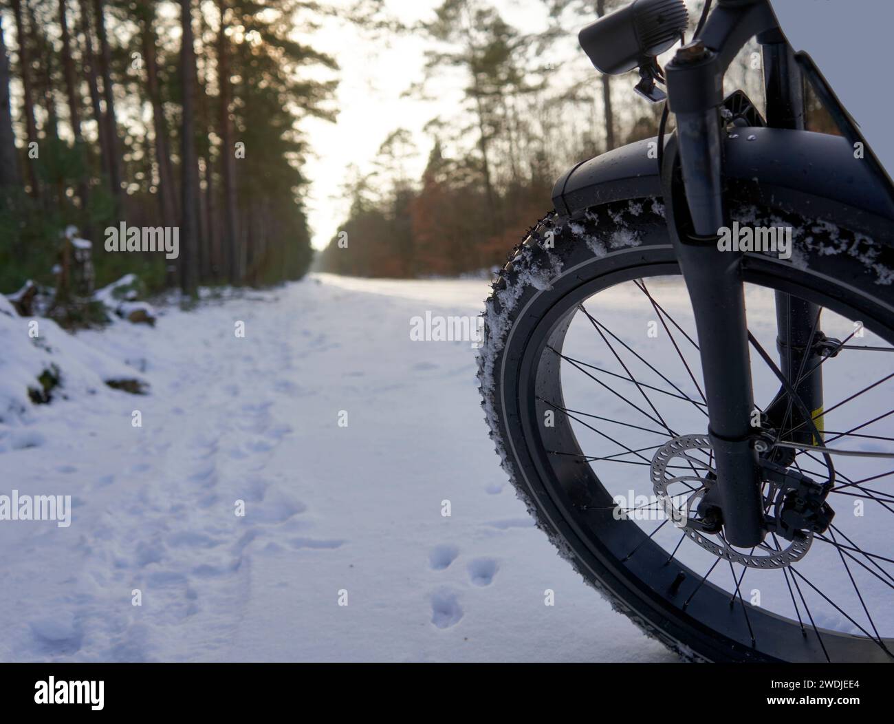 Fat tire bike snow hi-res stock photography and images - Alamy