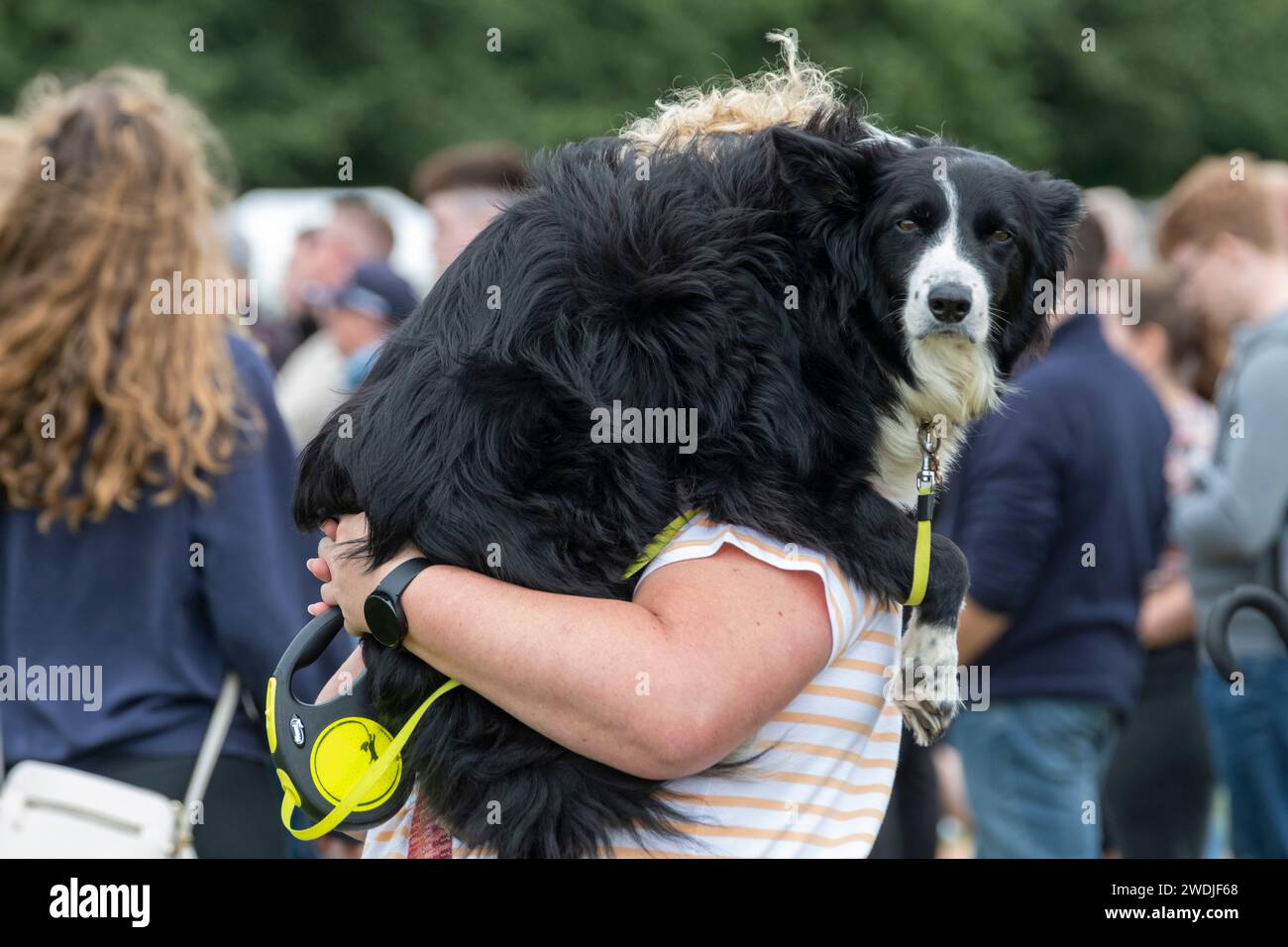 Pipe Bands at the World Pipe Band Competition Stock Photo - Alamy