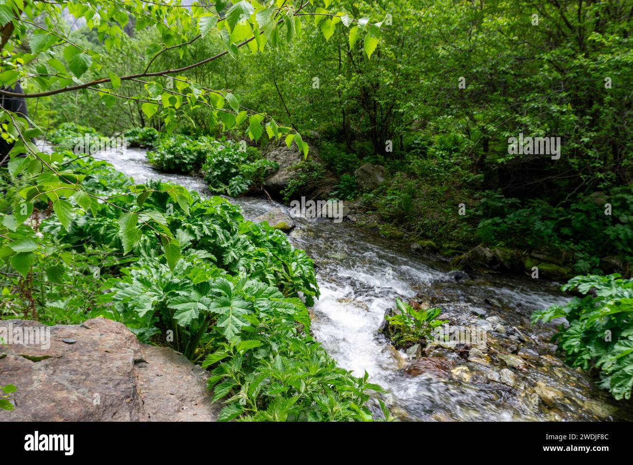 Stream flowing through mountains hi-res stock photography and images ...