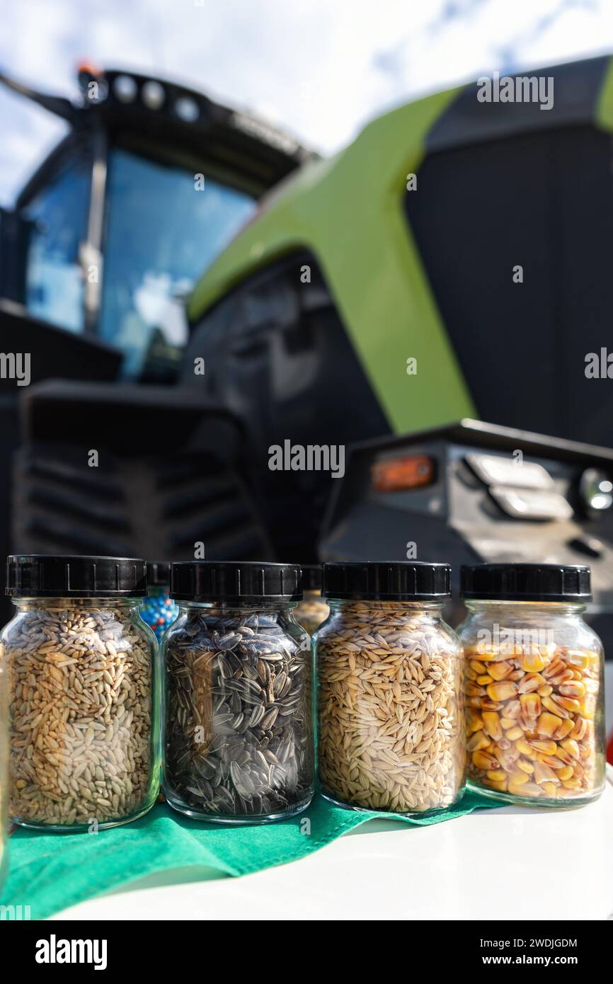 Different kinds of cereal crops seed grain in glass jar row at ...