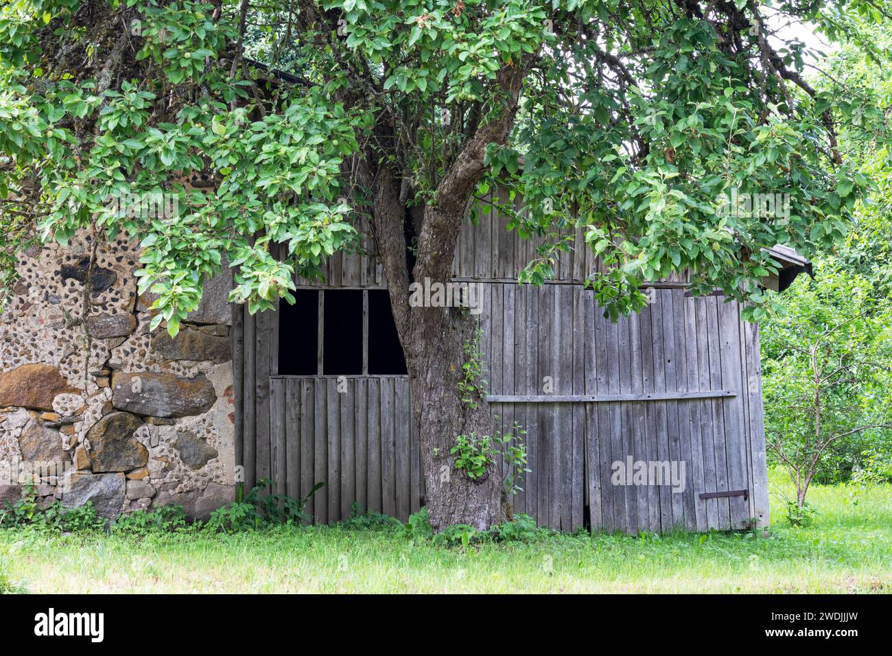 Old boulder barn wall with old wooden plank barn Stock Photo - Alamy