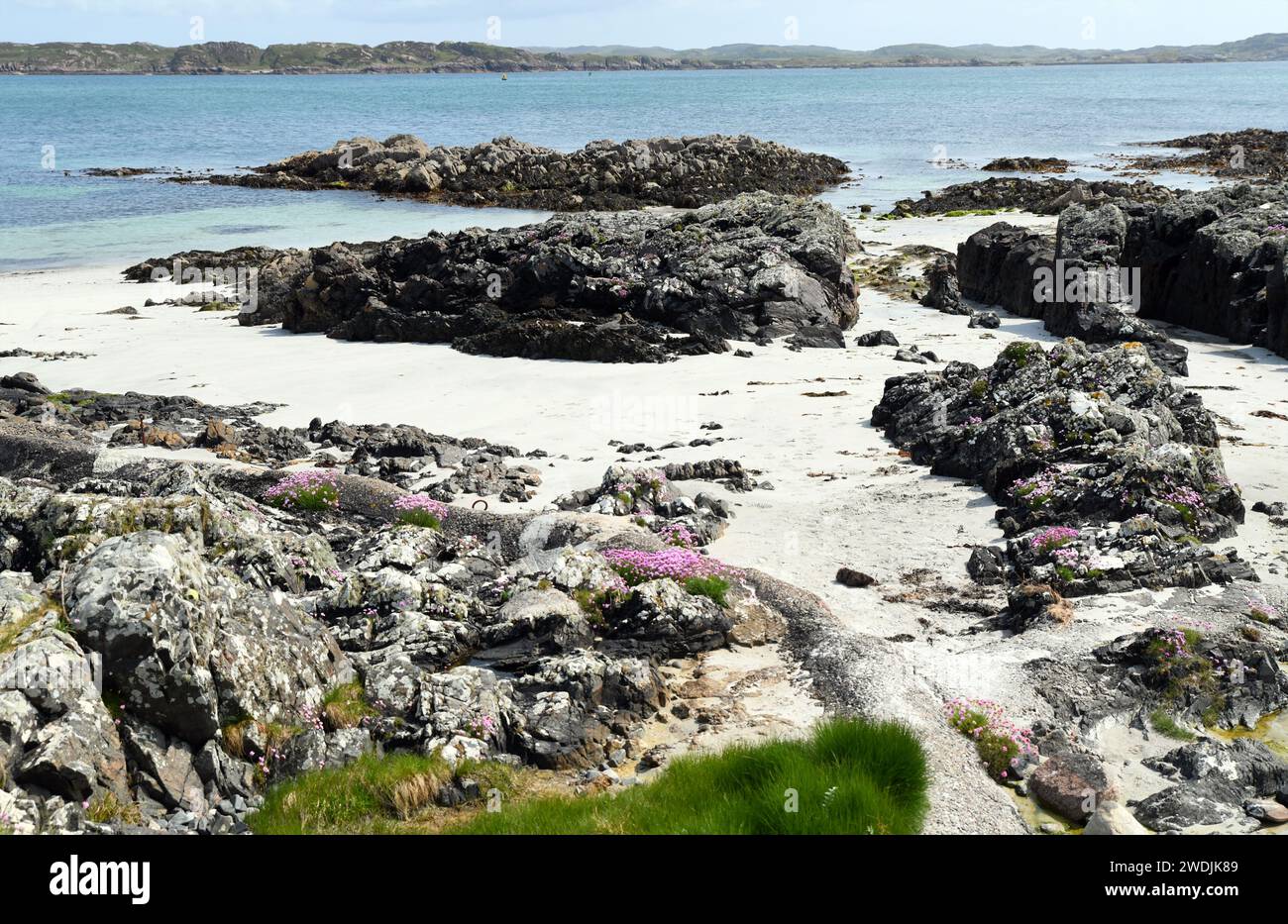 Sandy and rocky beach on the island of Iona, Scotland Stock Photo - Alamy
