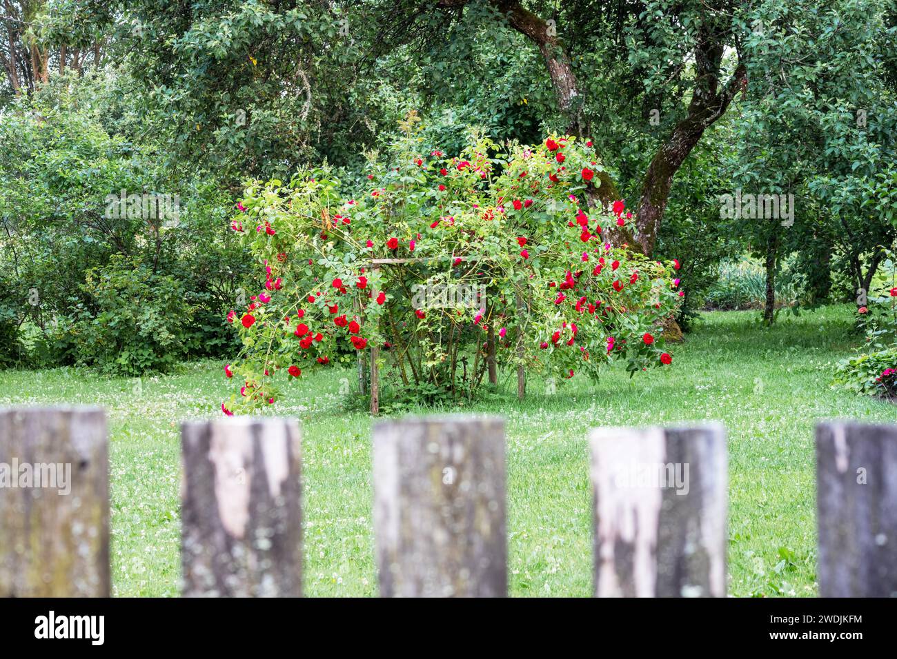 Contemporary house behind fence hi-res stock photography and images - Alamy