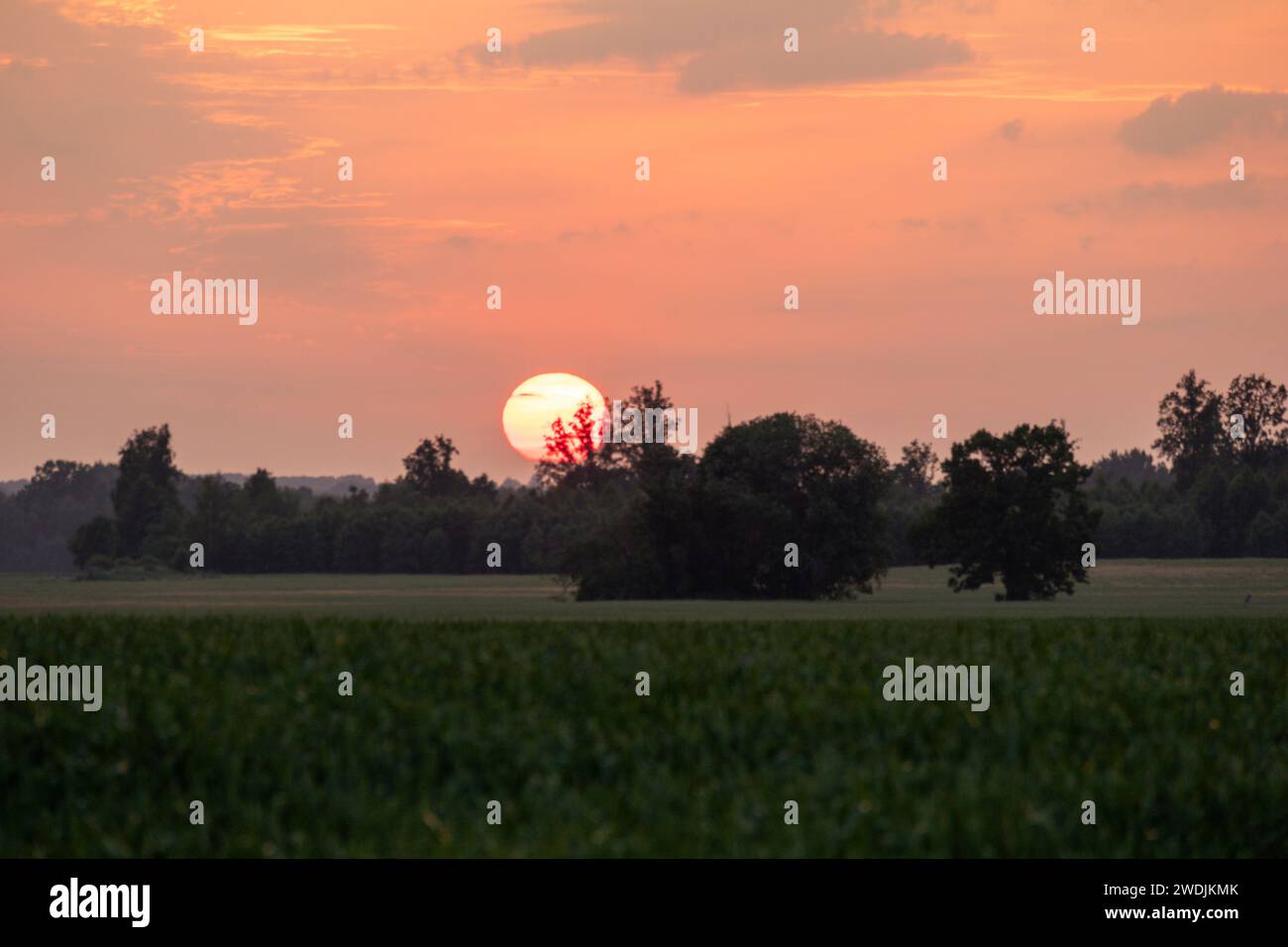 Sun moon tree clouds landscape hi-res stock photography and images - Alamy