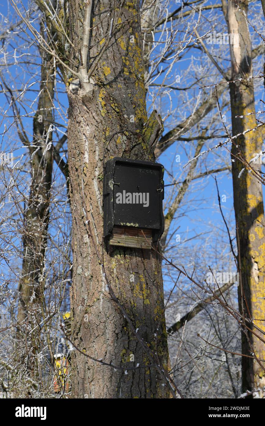 a bat nest box on the tree Stock Photo - Alamy