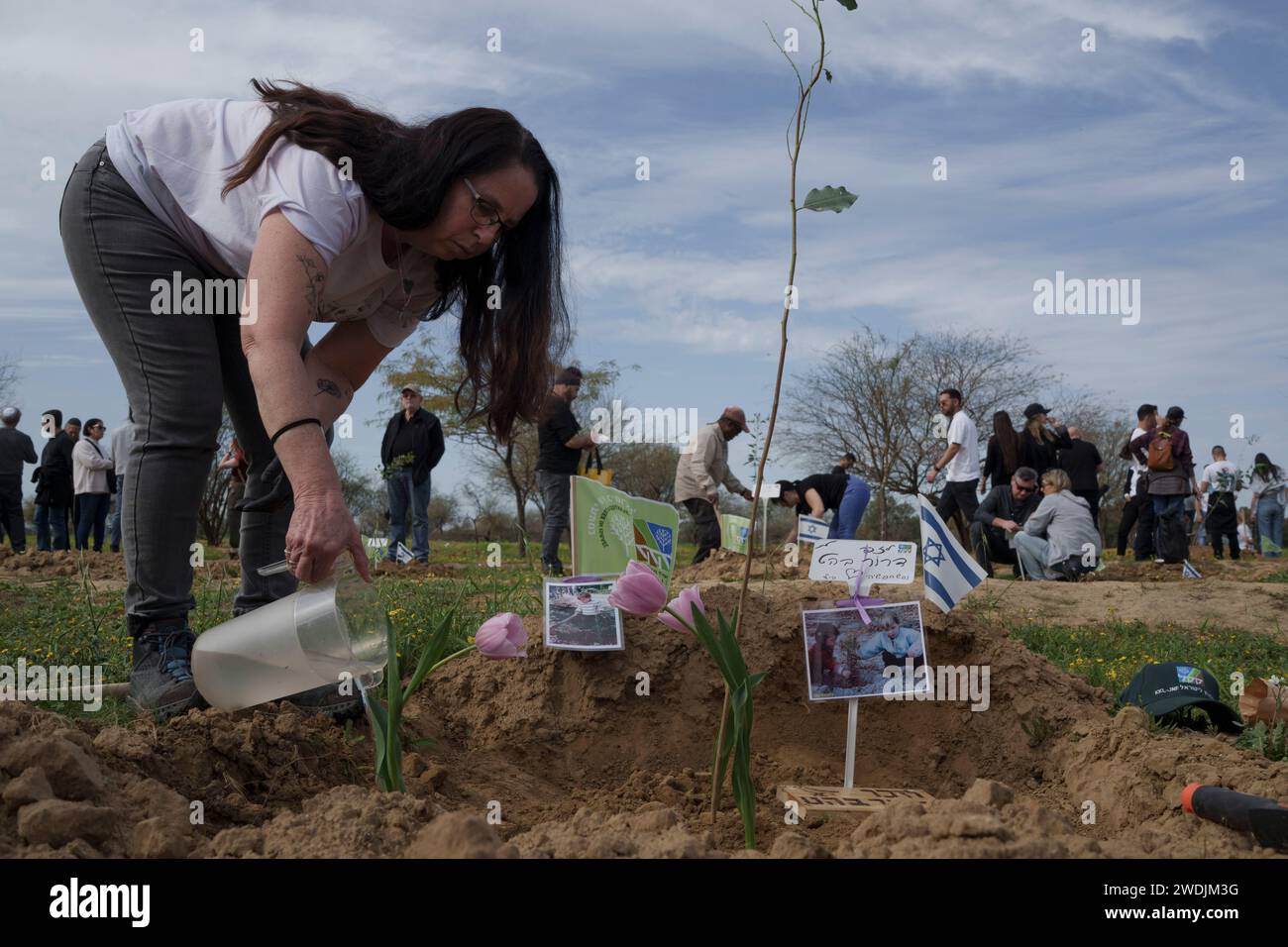 Ela Bahat pours water over the place she and her husband planted a tree ...