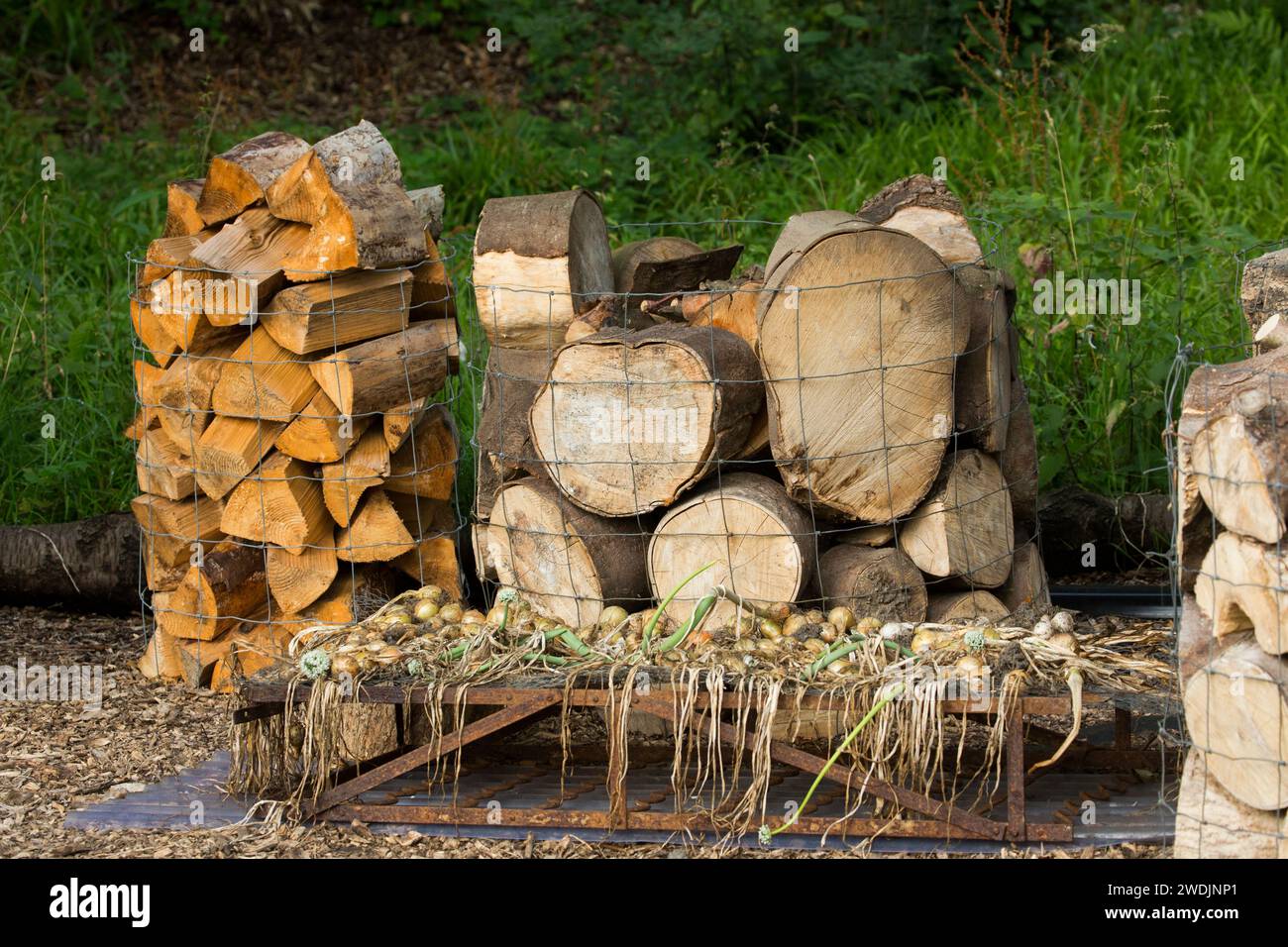 Wire cages hi-res stock photography and images - Alamy