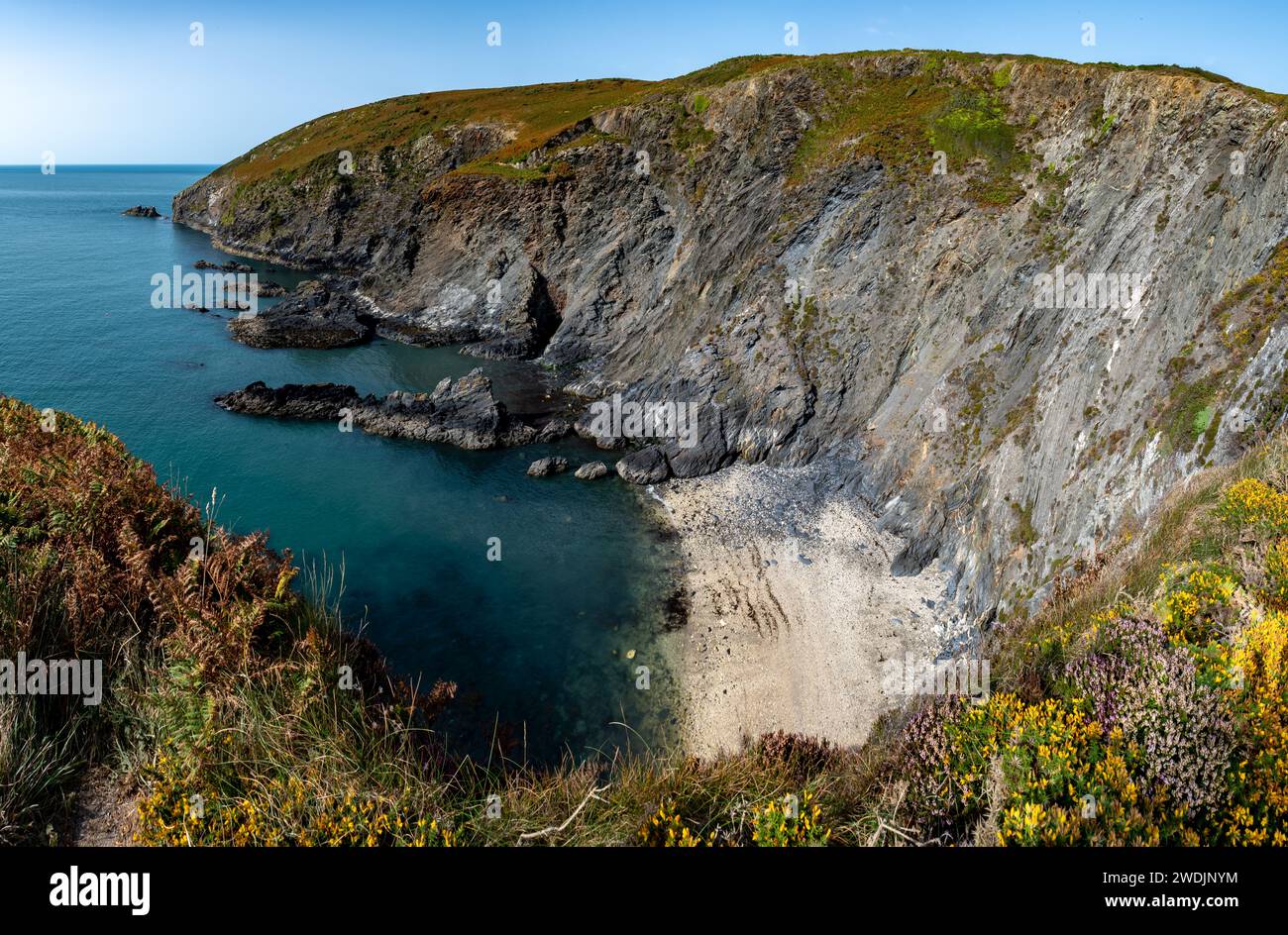 Wild Atlantic Coast With Sandy Beach And Cliffs At Dinas Head In ...