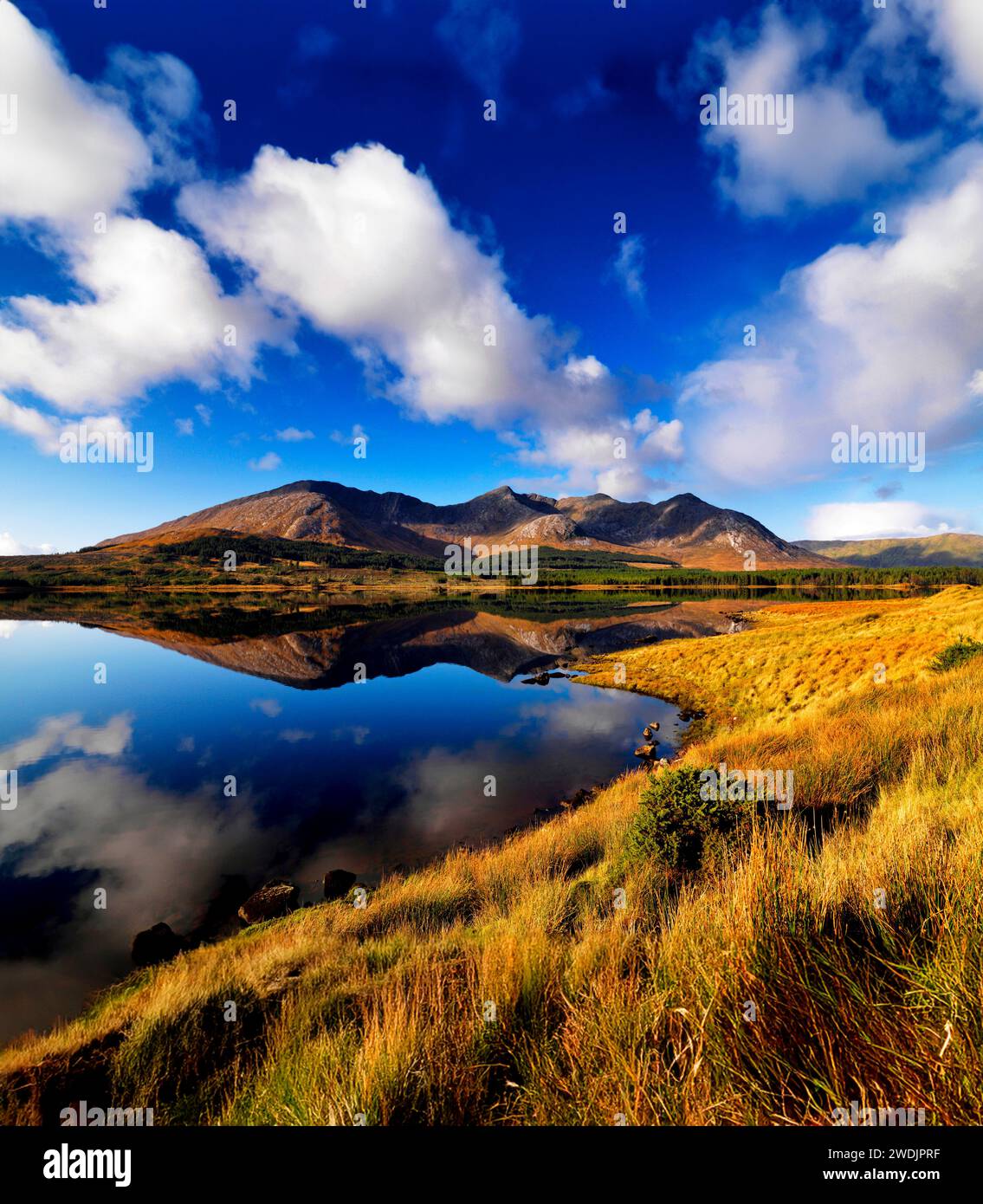 The Twelve Bens reflected in Lough Inagh, Connemara, County Galway ...