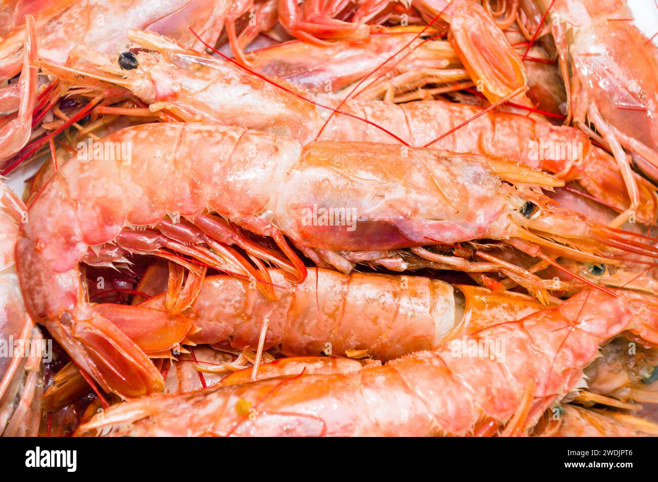 Mouthwatering shrimp hi-res stock photography and images - Alamy