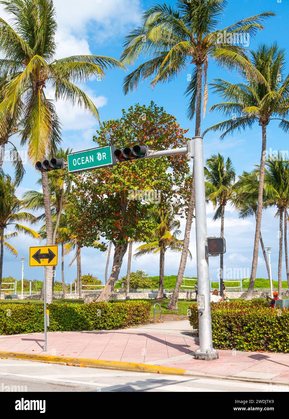 Ocean Drive sign surrounded by palm trees in Miami Beach, USA Stock ...
