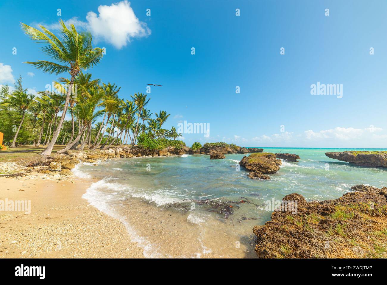 Small cove in Le Gosier coast under a shining sun. Guadeloupe ...