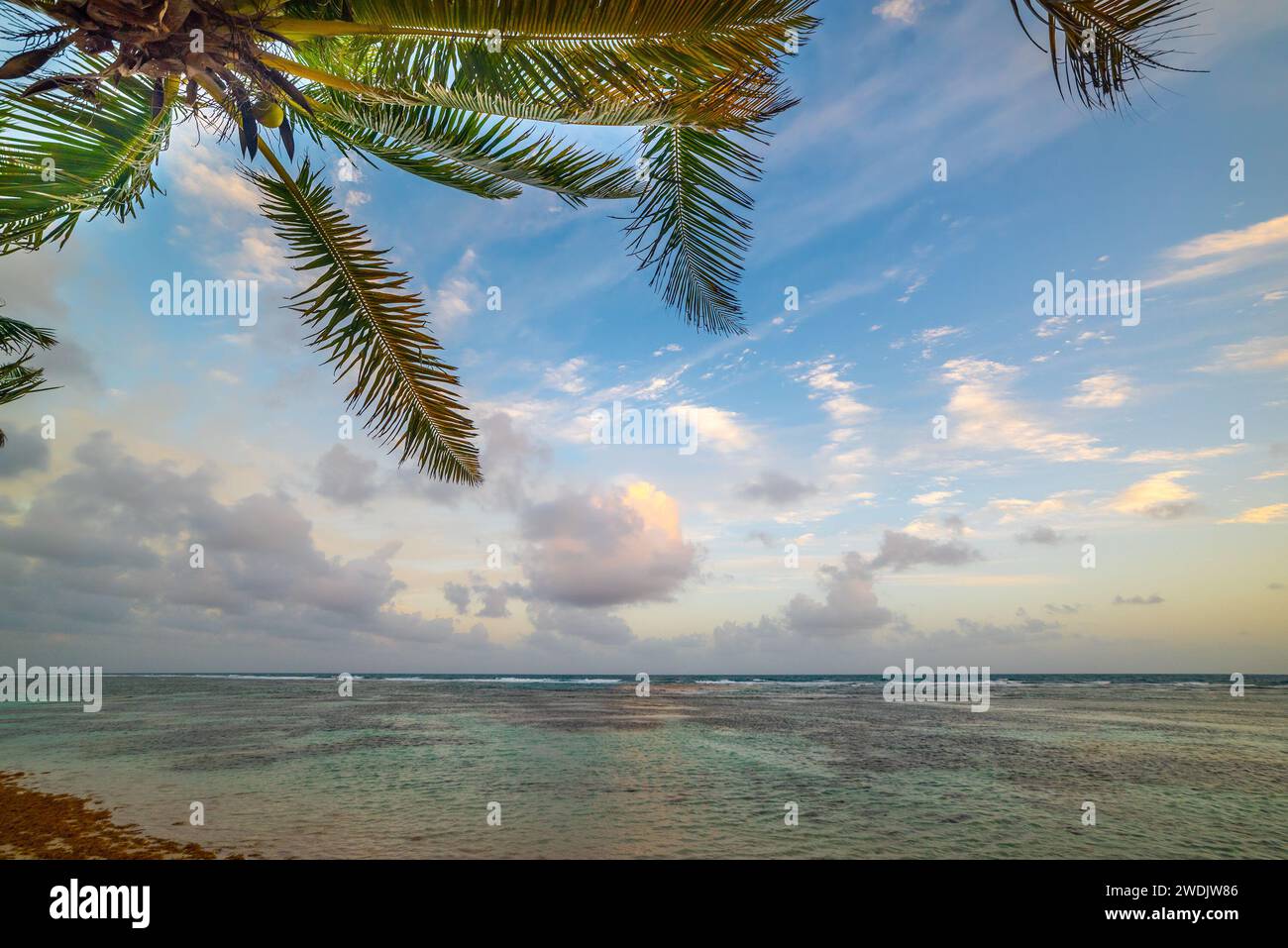 Sunset in Bois Jolan beach. Guadeloupe, Caribbean sea Stock Photo - Alamy