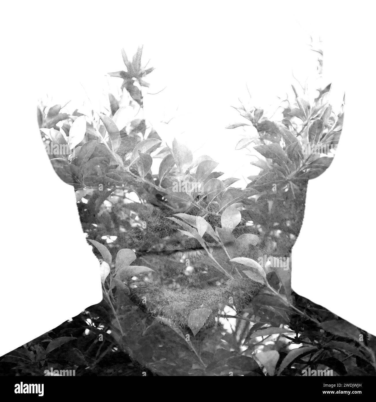 A black and white double exposure male portrait on a white background ...
