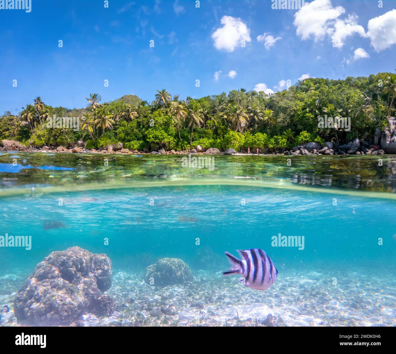 Split underwater view of Anse Royale shoreline. Mahe island, Seychelles ...