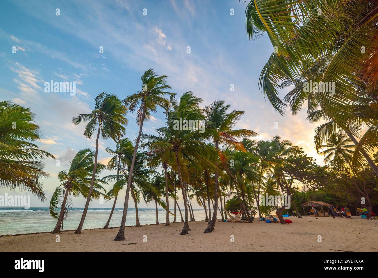 Colorful sunset in Bois Jolan beach. Guadeloupe, Caribbean sea Stock ...