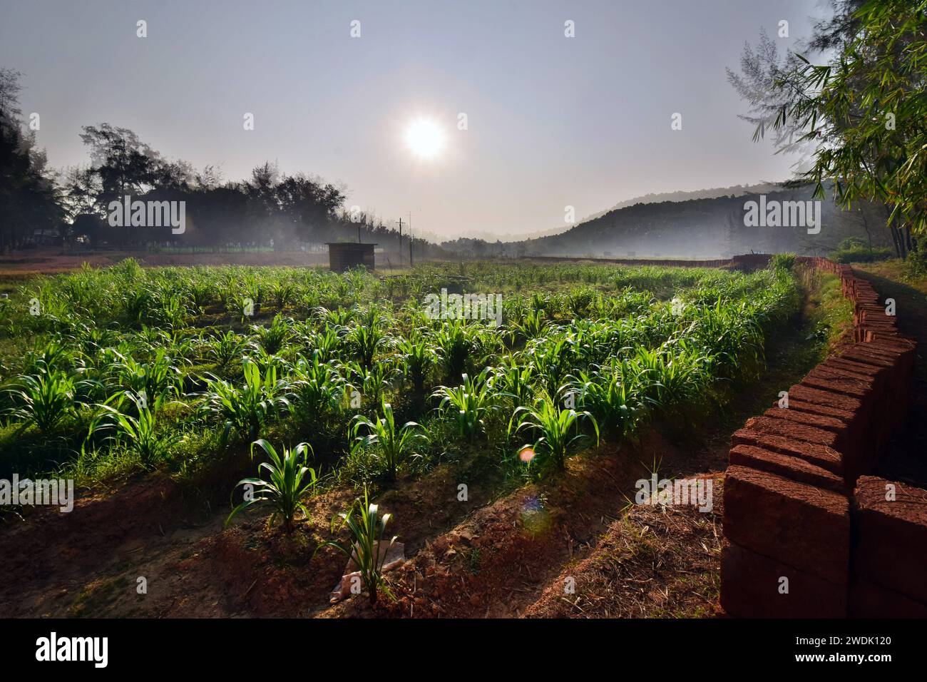 RECORD DATE NOT STATED Kumta, Karnataka Kumta, Karnataka Kumta ...