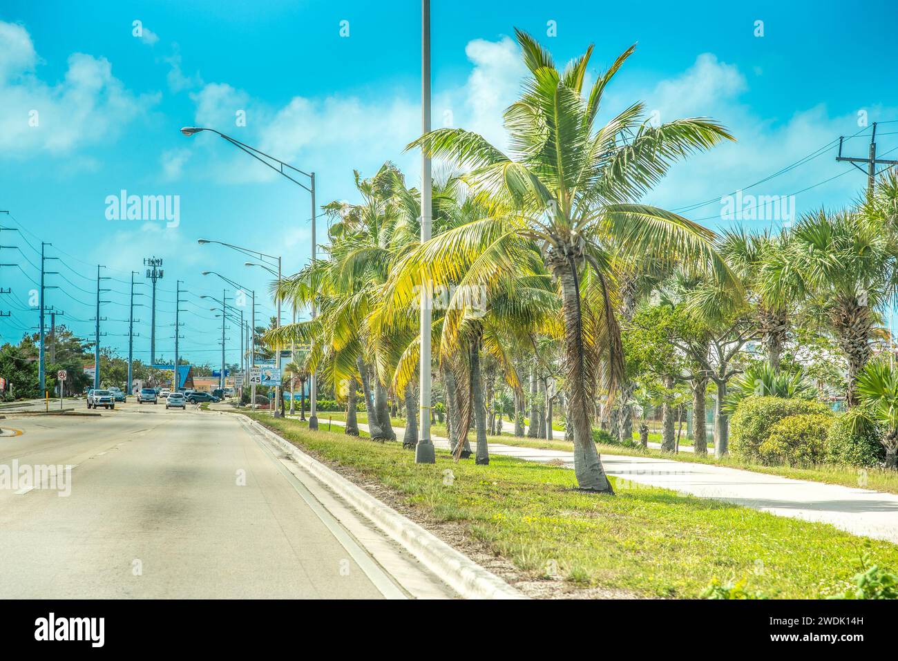 Miami marathon day hi-res stock photography and images - Alamy
