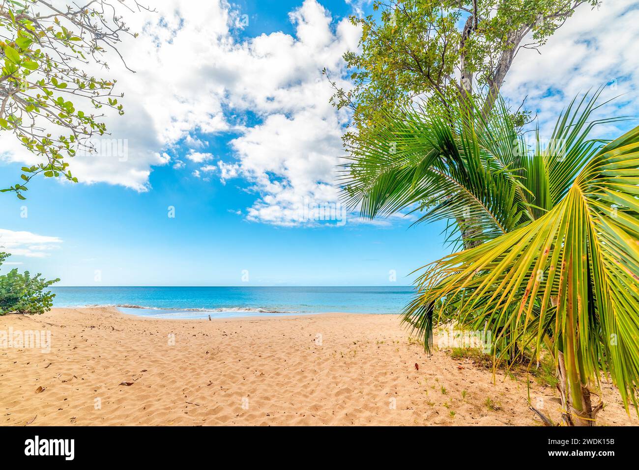 La Perle beach under a cloudy sky. Guadeloupe, Caribbean sea Stock ...