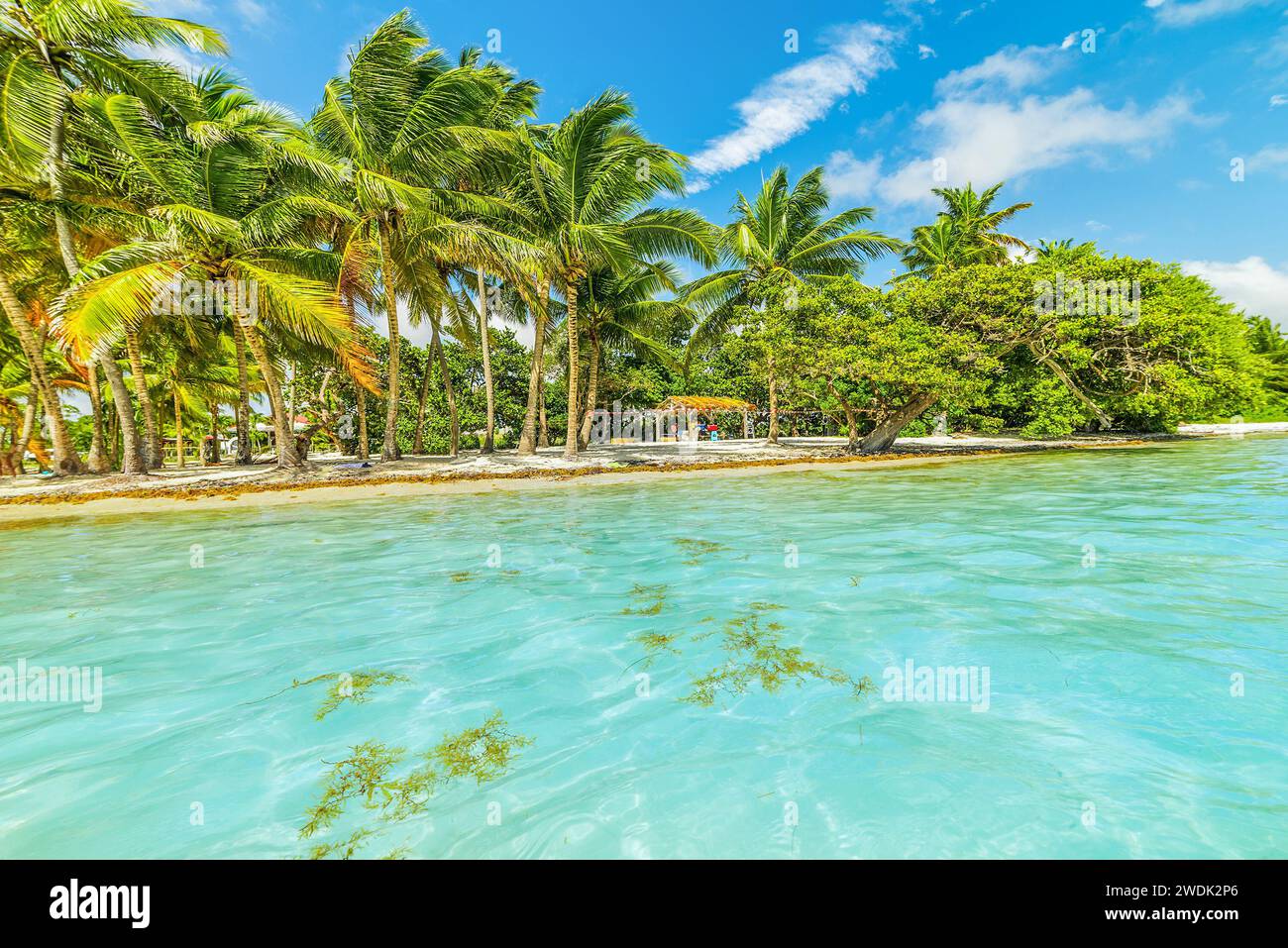 Bois Jolan beach in Guadeloupe, French west indies. Lesser Antilles ...