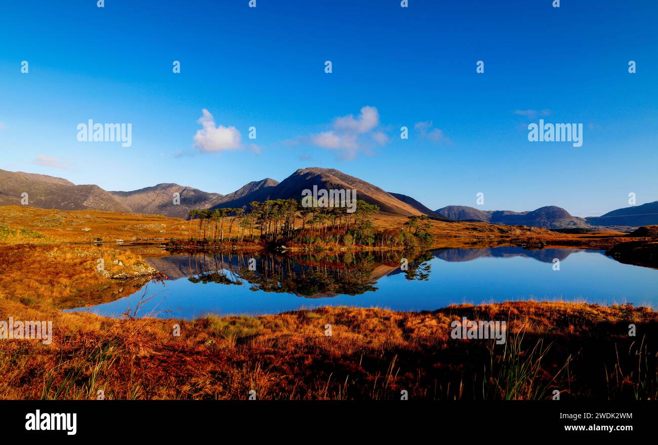 An Autumn day at Pine Island, Derryclare Lake, Connemara, County Galway ...