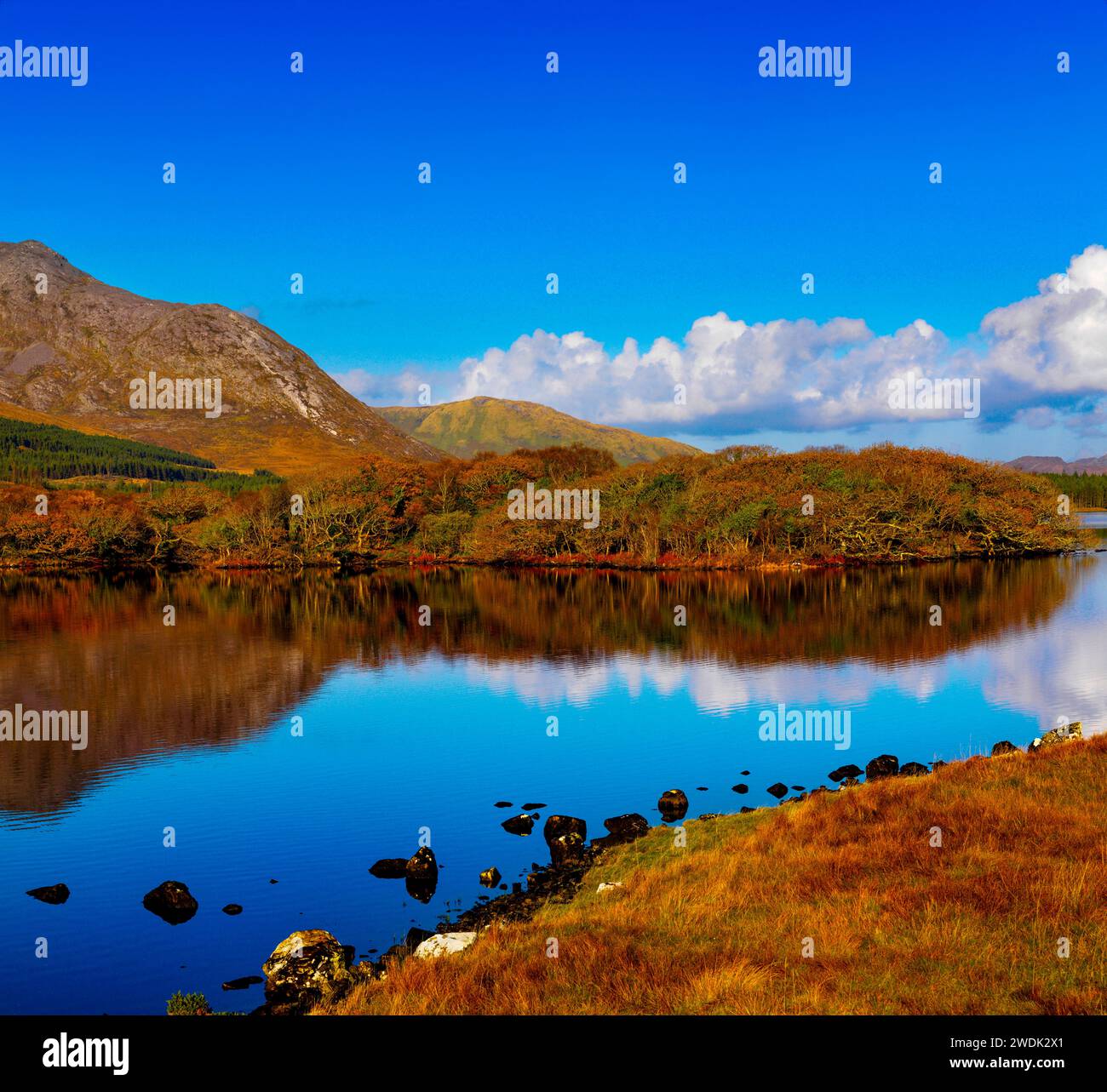 Autumn at Lough Inagh, Connemara, County Galway, Ireland Stock Photo ...