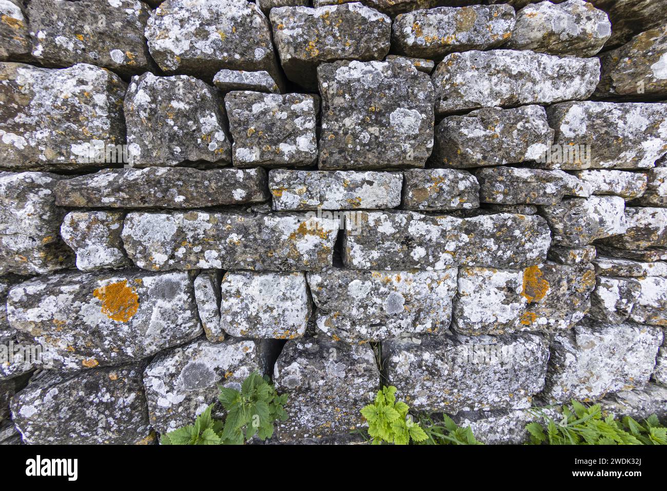 Close-up of a natural stone wall in daylight Stock Photo - Alamy