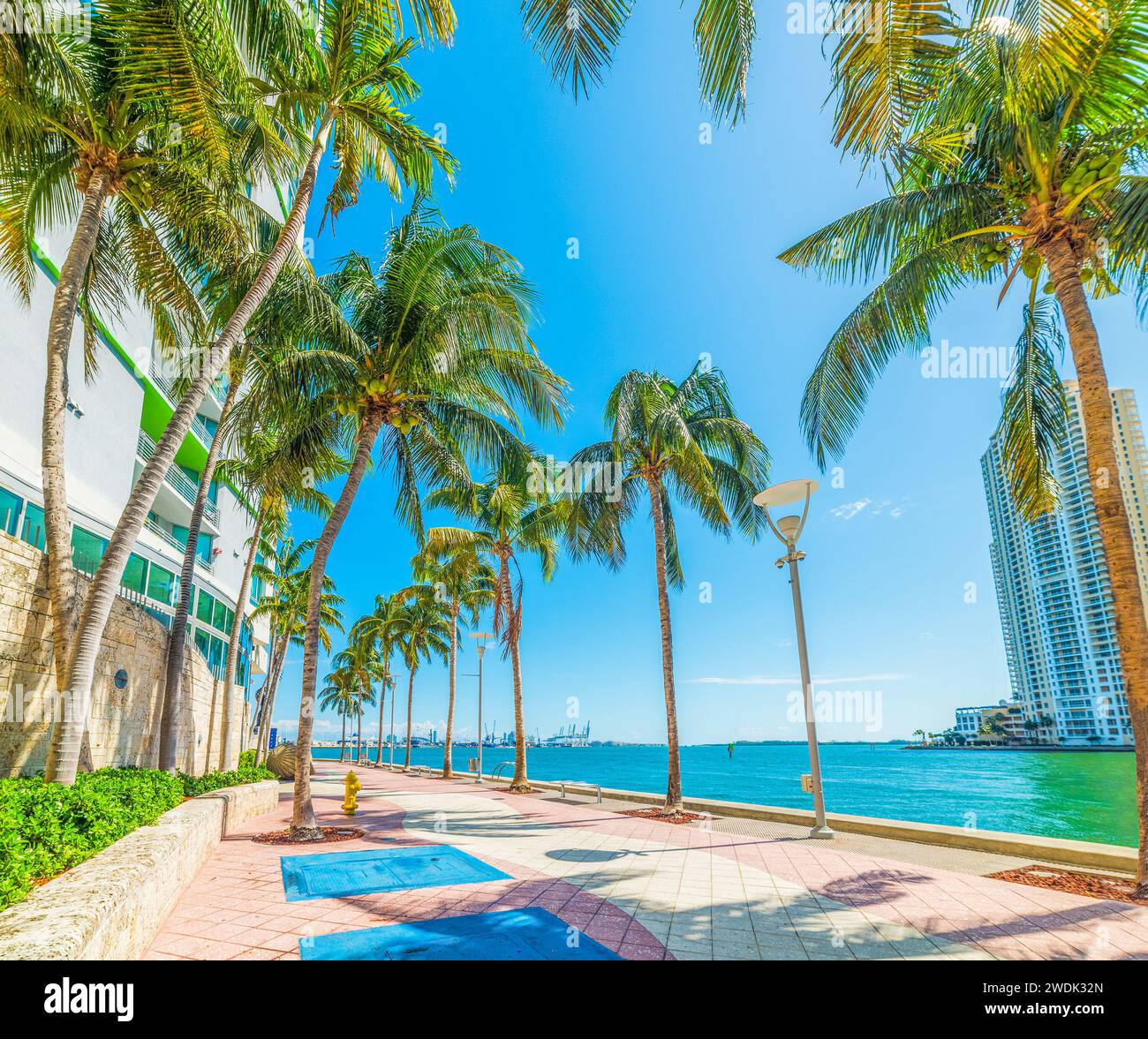 Miami river walk under a shining sun. Southern Florida, USA Stock Photo ...
