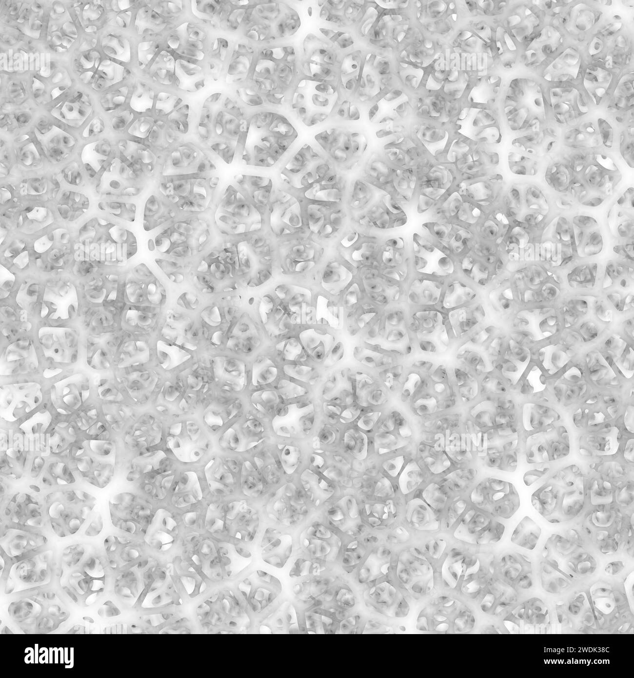 Seamless texture of Spong form (Spongiformia). Fashion graphic ...