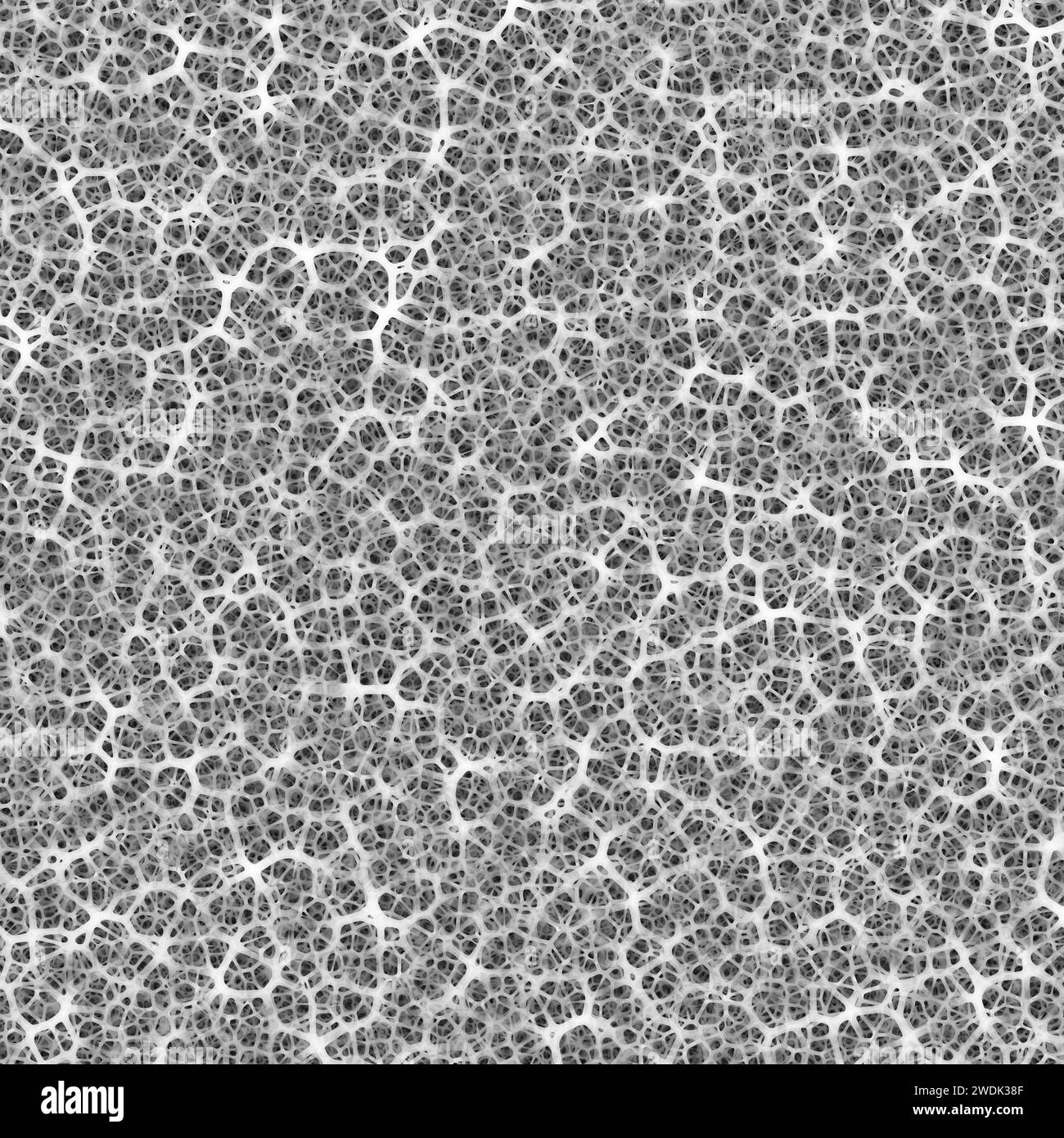 Seamless texture of Spong form (Spongiformia). Fashion graphic ...