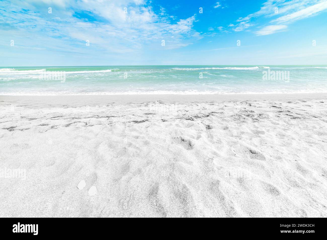 Turquoise water in Siesta Key beach. Florida, USA Stock Photo - Alamy