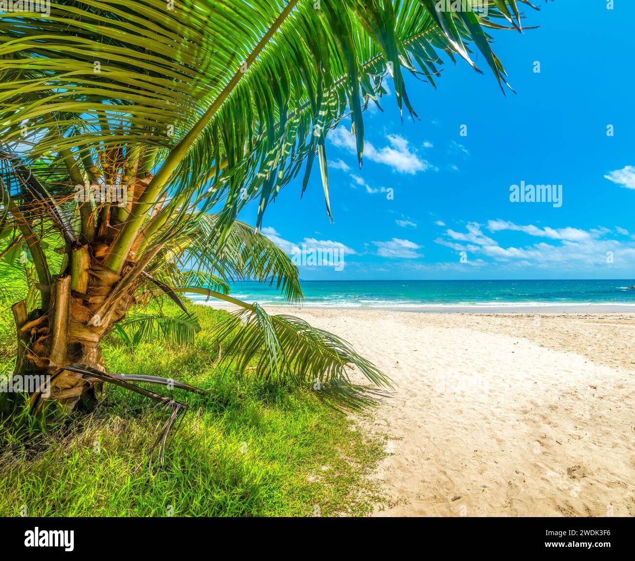 Anse louis mahe seychelles hi-res stock photography and images - Alamy