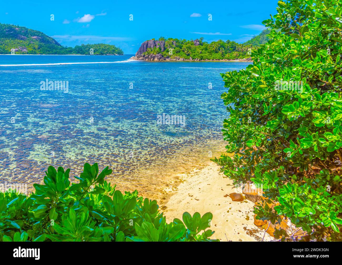 Coral reef in Anse l'islette. Mahe island, Seychelles Stock Photo - Alamy