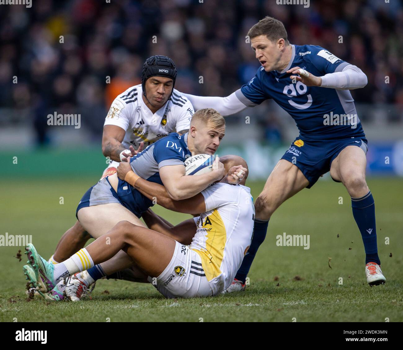 Sale sharks rugby hi-res stock photography and images - Alamy