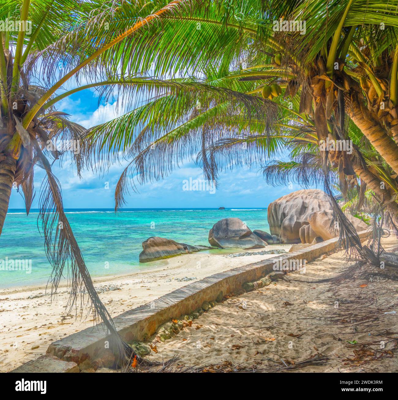 Palm trees, rocks and coral reef in Anse Source d'Argent. La Digue ...